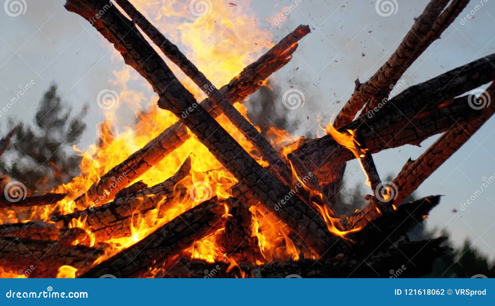 Big Campfire from Branches Burn at Night in the Forest Stock Footage ...