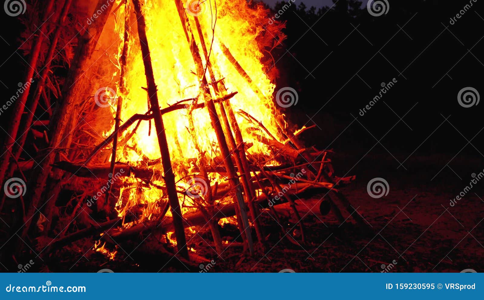Big Campfire of the Logs Burns at Night in the Forest Stock Video ...
