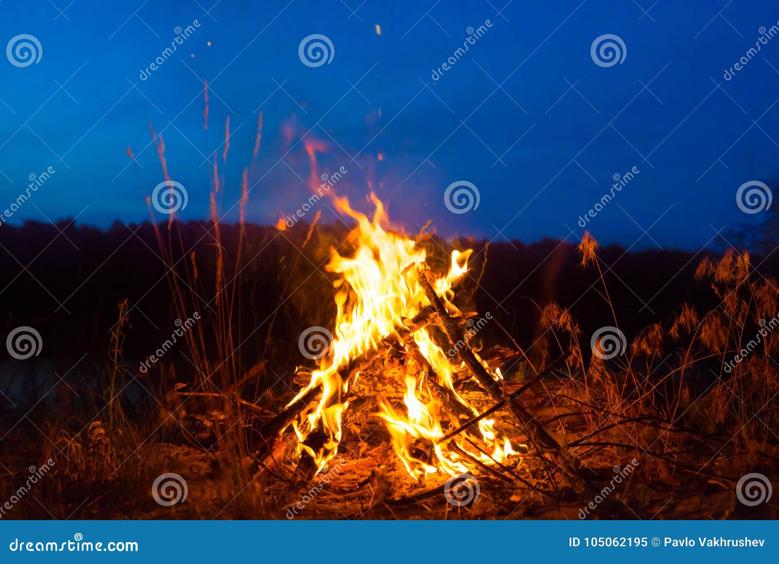 Big Campfire at Night in the Forest Stock Image - Image of campfire ...