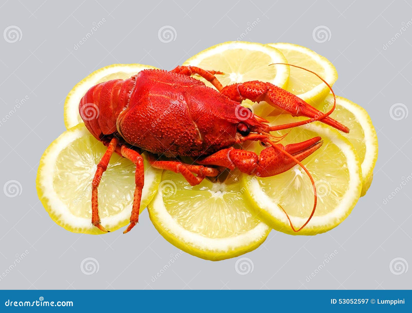 Big Cancer on the Background of Lemon Stock Image - Image of meat ...