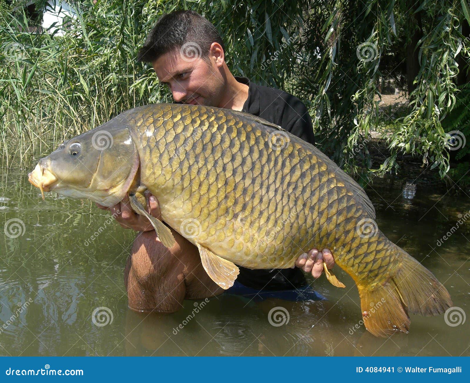 Big carp stock image. Image of bait, leisure, happy, common - 4084941
