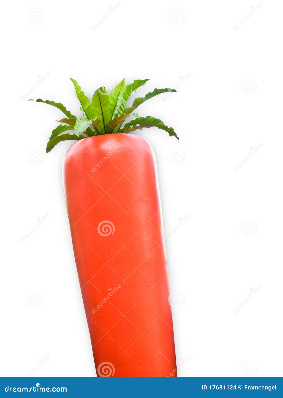 Big Carrot stock photo. Image of harvesting, paper, closeup - 17681124