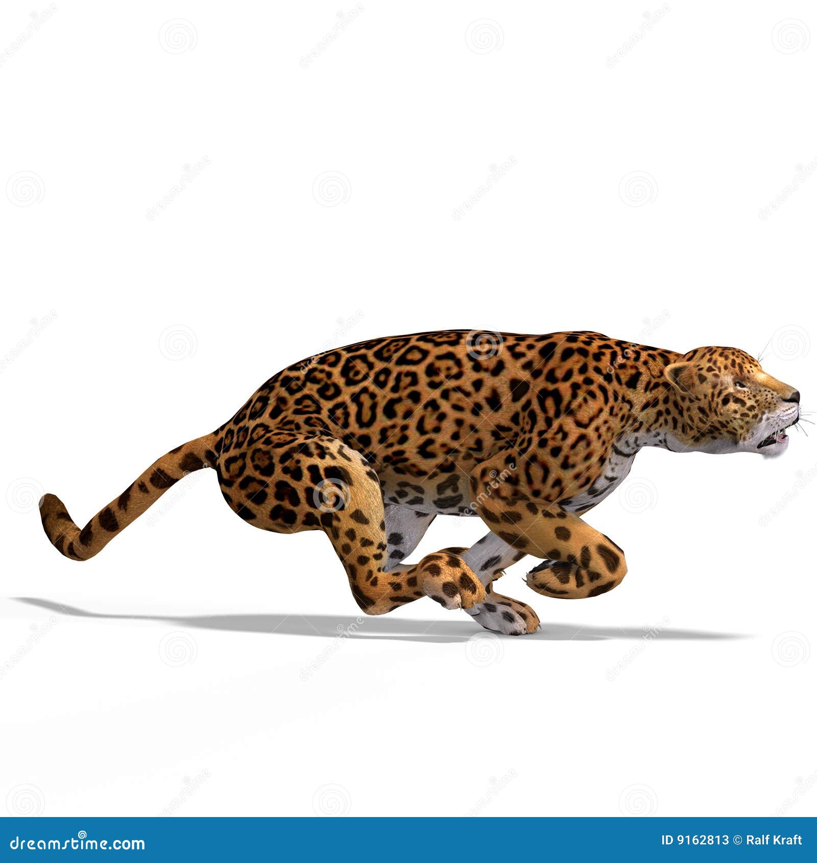 Jaguar Pelt Seamless Texture Cartoon Vector | CartoonDealer.com #144881829