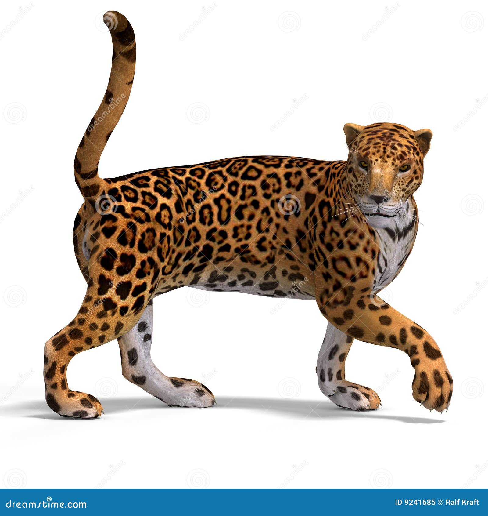 Jaguar Pelt Seamless Texture Cartoon Vector | CartoonDealer.com #144881829