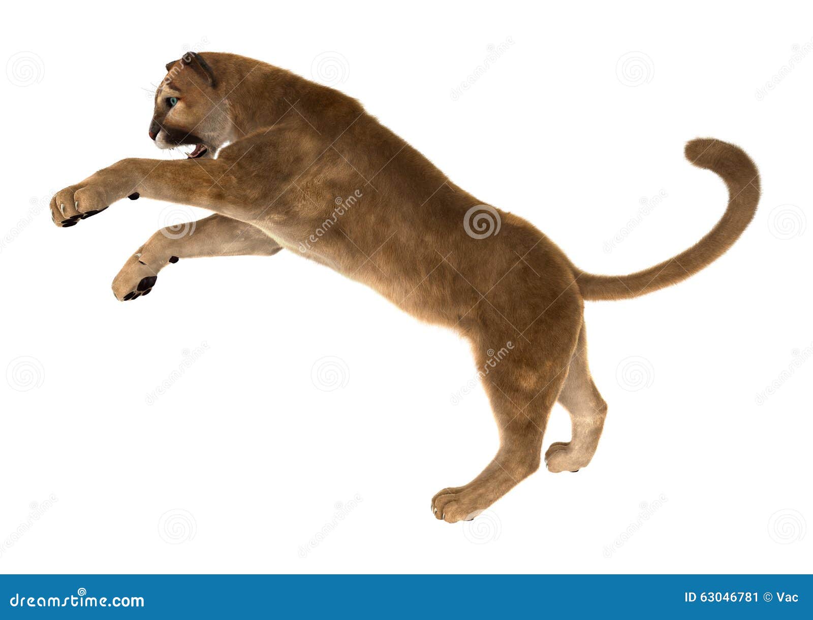 Big Cat Puma stock illustration. Illustration of feline - 63046781
