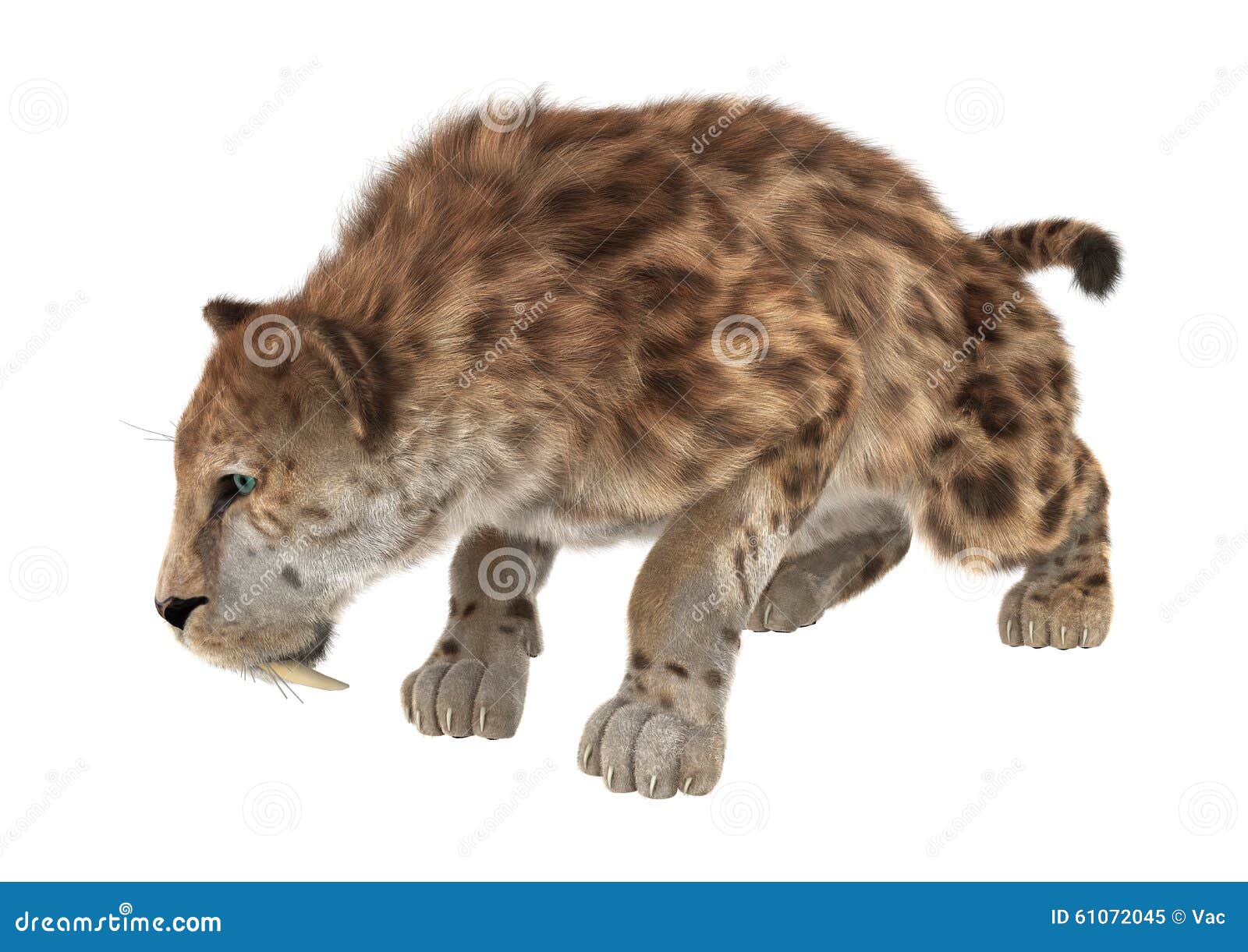 Big Cat Sabertooth stock image. Image of pleistocene - 61072045