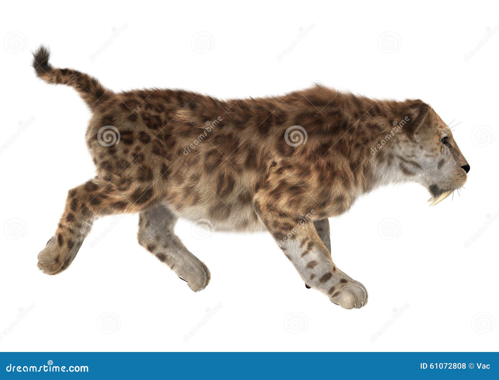 Big Cat Sabertooth stock photo. Image of toothed, sabertooth - 61072808