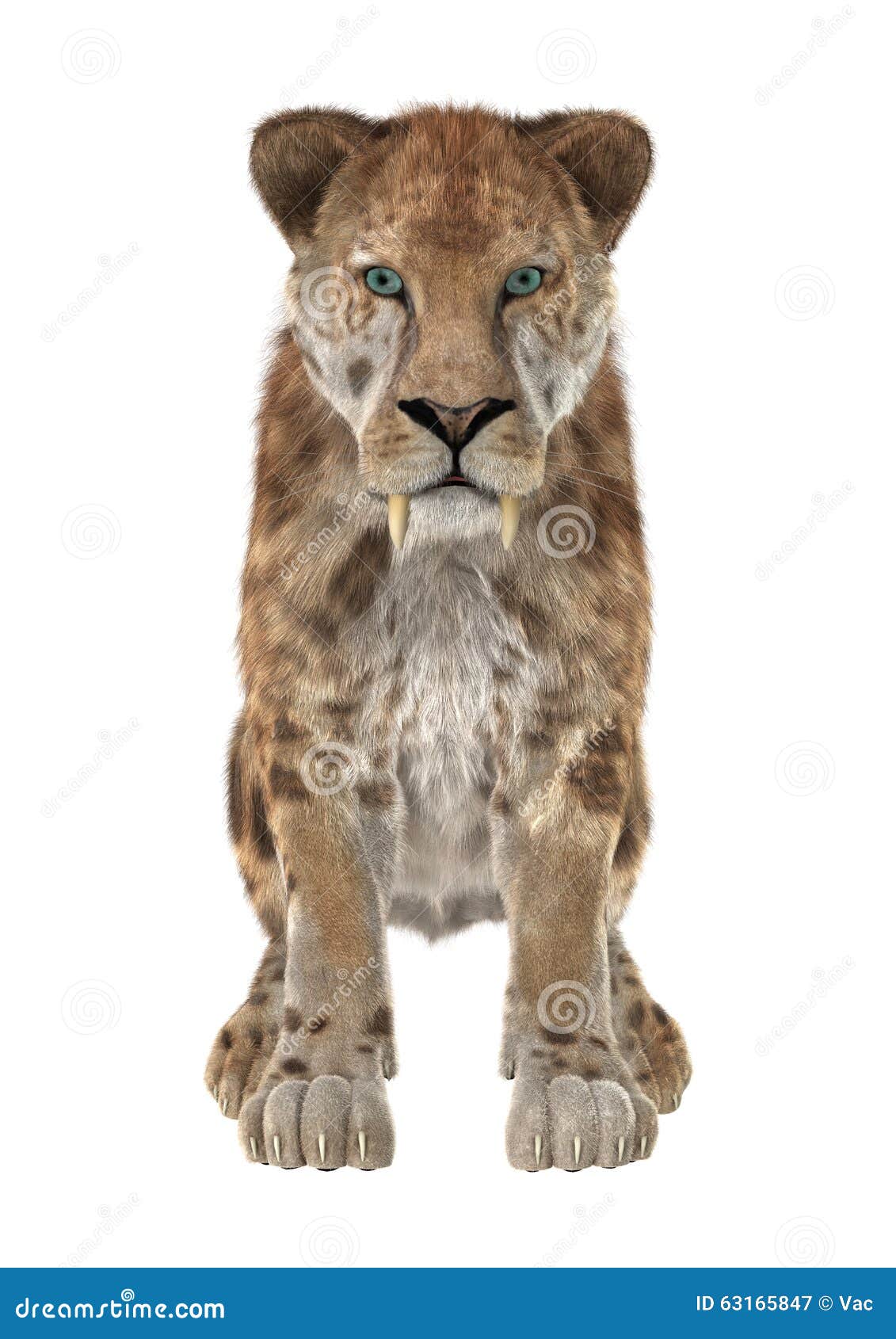 Big Cat Sabertooth stock illustration. Illustration of creature - 63165847