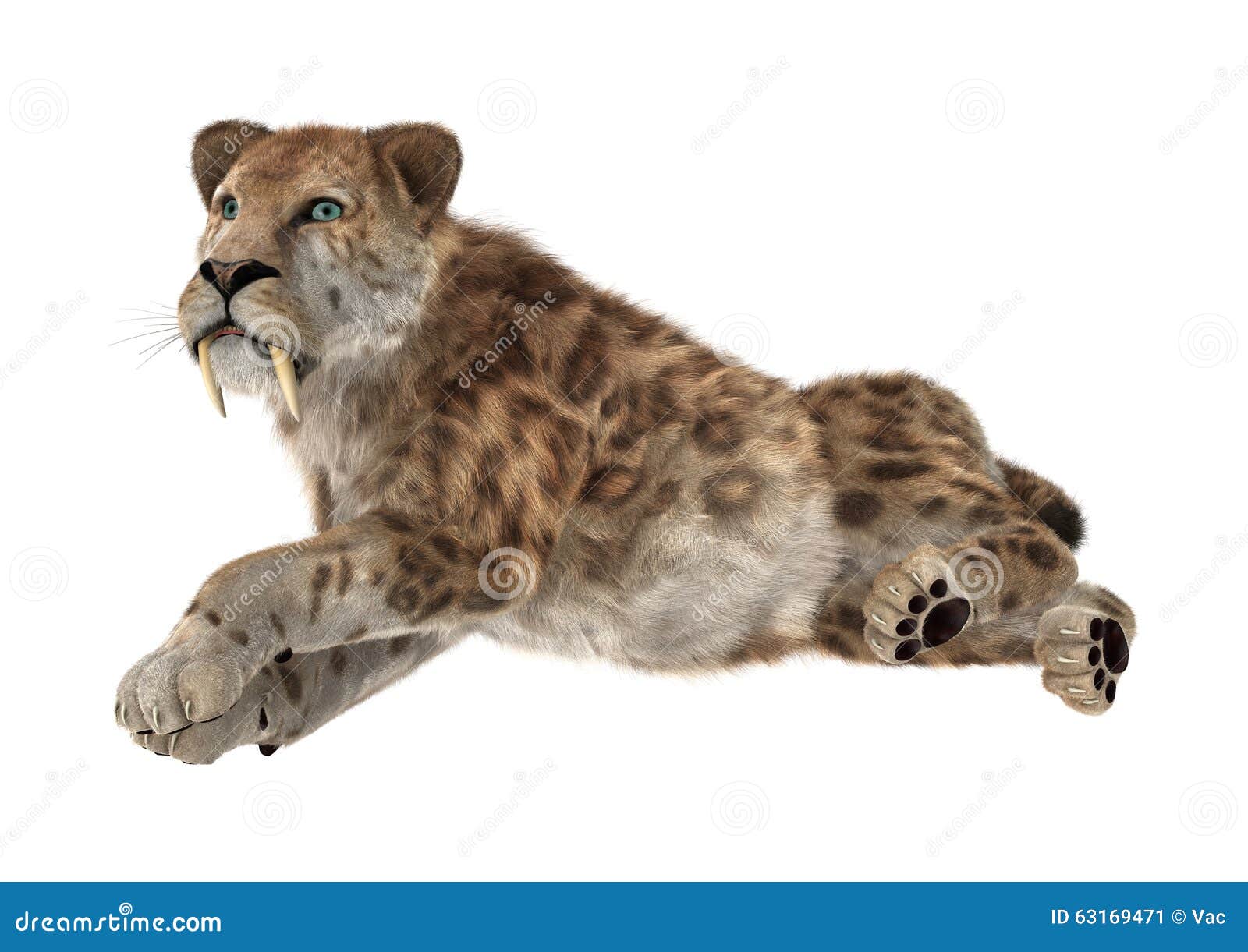 Big Cat Sabertooth stock image. Image of isolated, mammal - 63169471