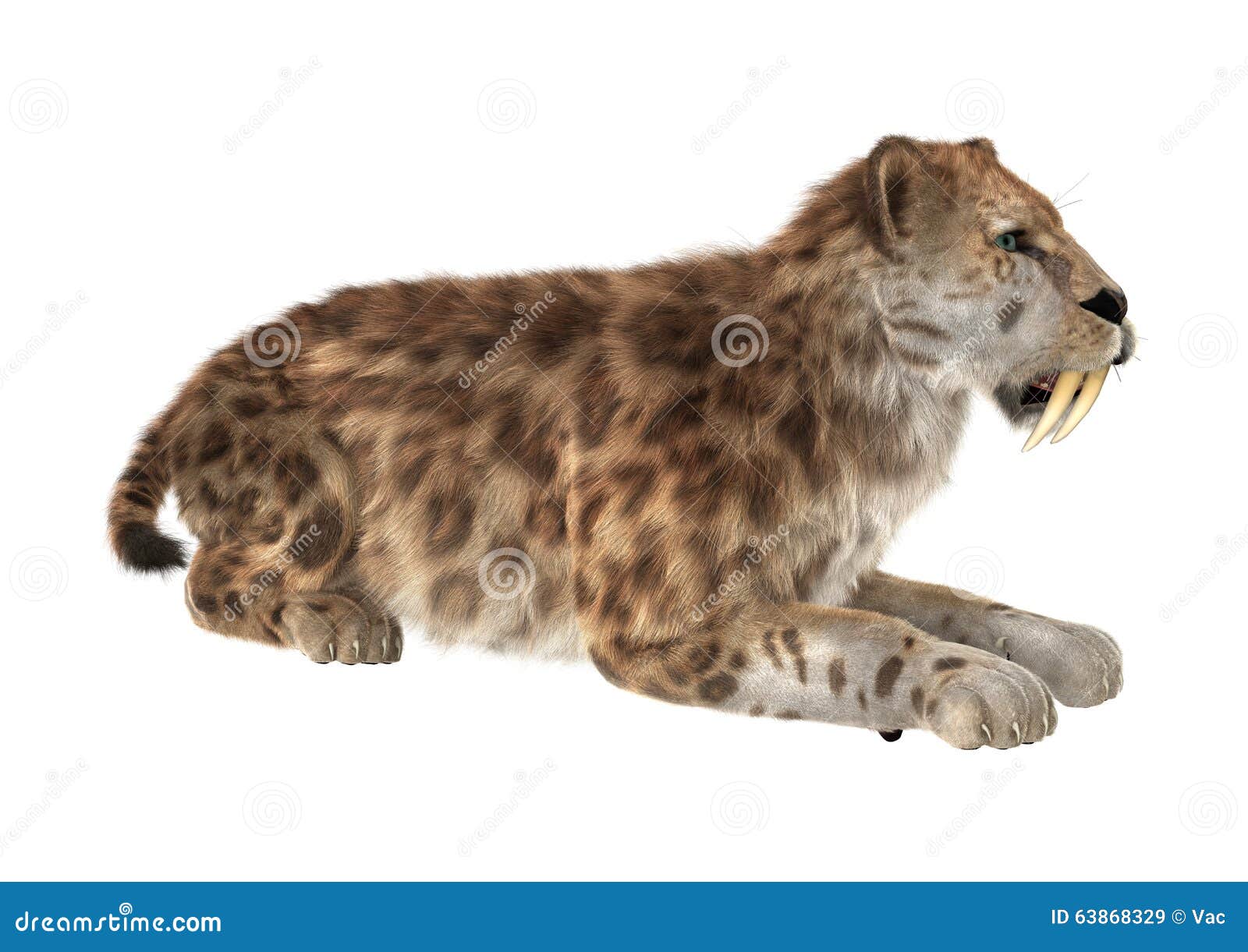 Big Cat Sabertooth stock image. Image of large, watching - 63868329