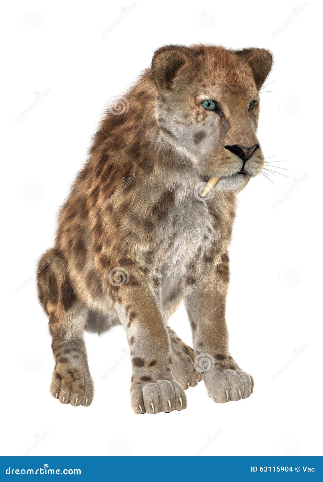 Big Cat Sabertooth stock photo. Image of hunter, isolated - 63115904