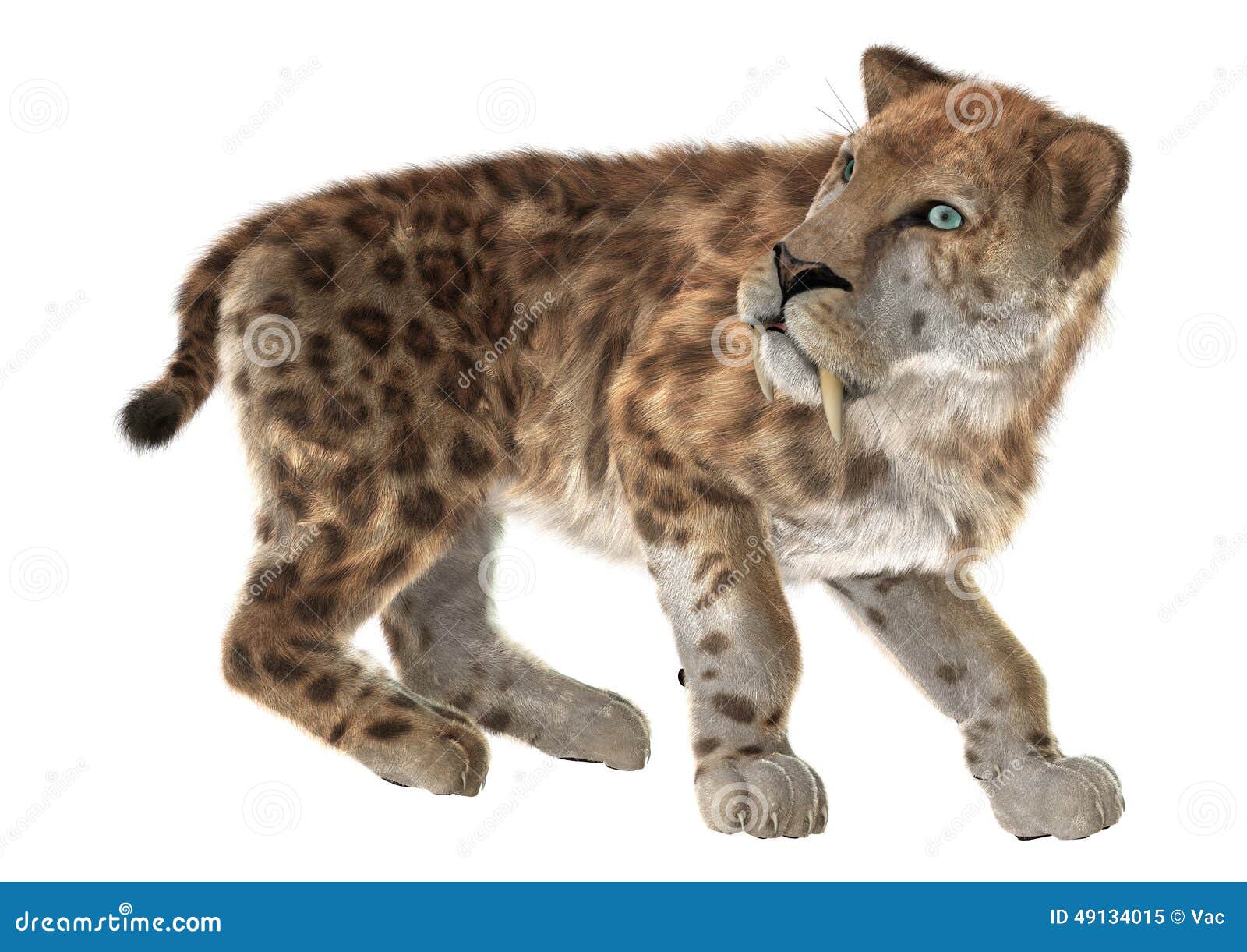 Big Cat Smilodon stock illustration. Illustration of teeth - 49134015