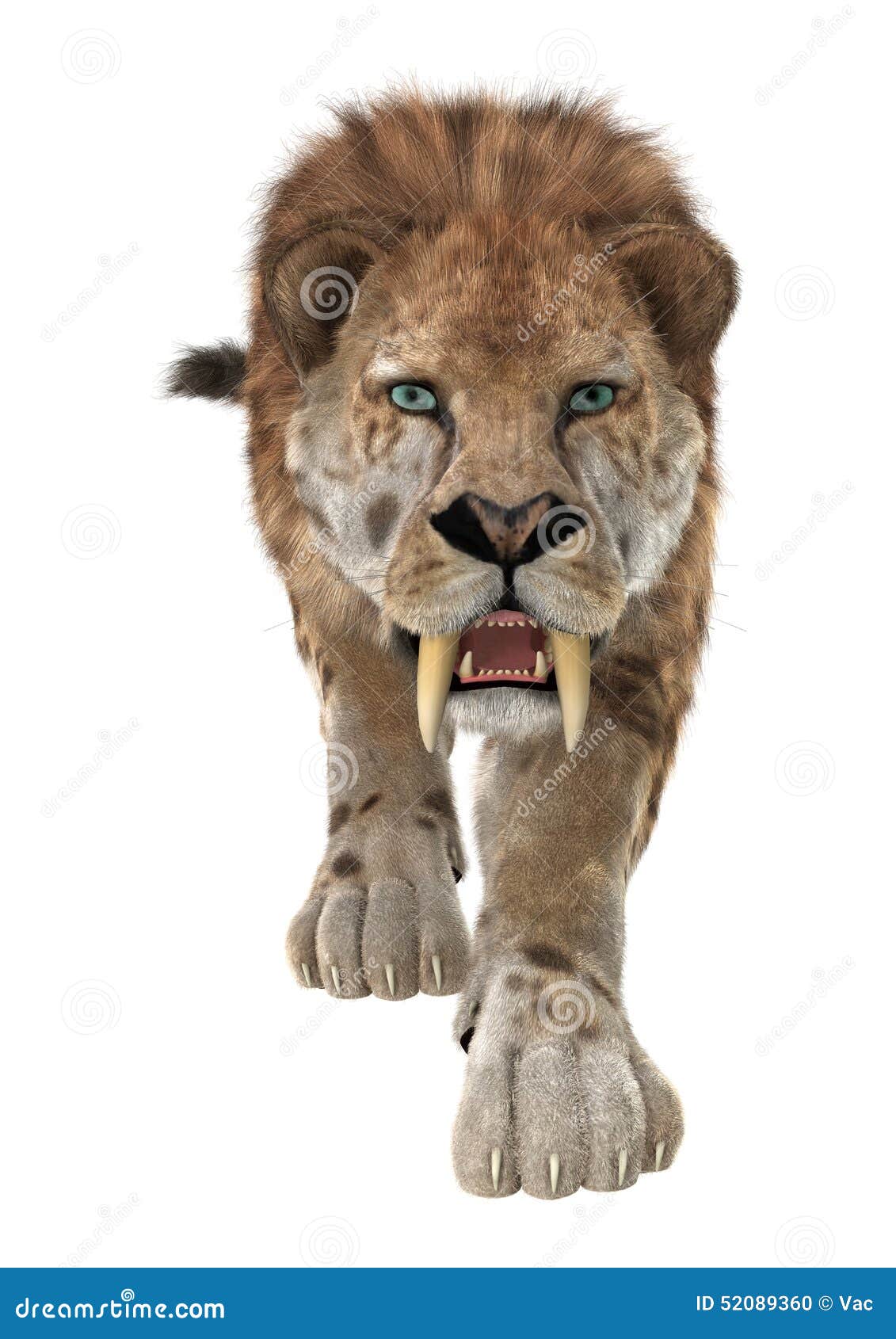 Smilodon Saber Tooth Extint Feline Royalty-Free Stock Photography ...
