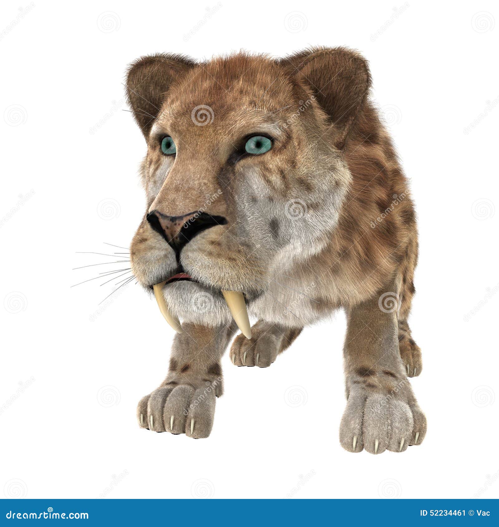 Big Cat Smilodon stock image. Image of toothed, feline - 52234461