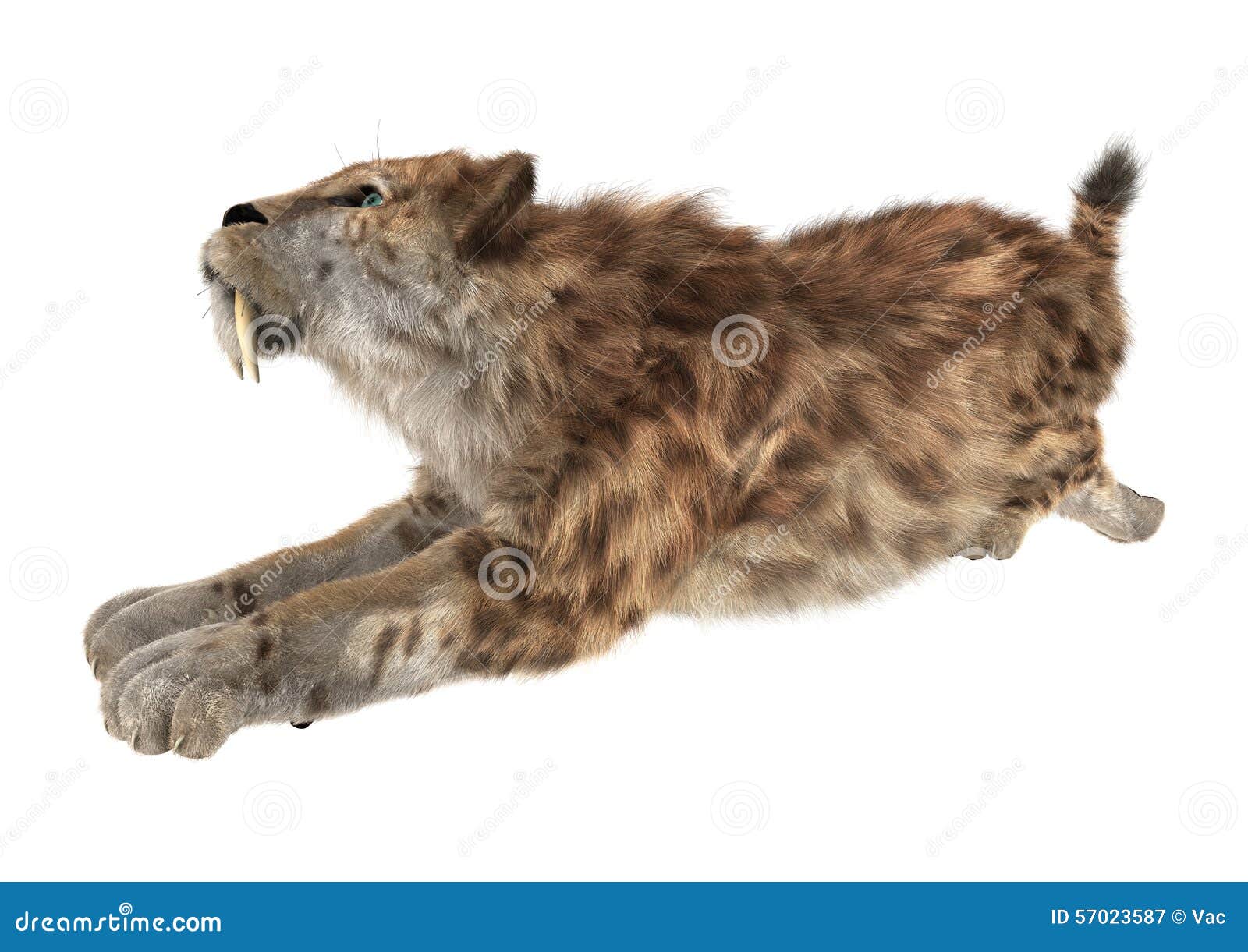 Big Cat Smilodon stock illustration. Illustration of wildlife - 57023587