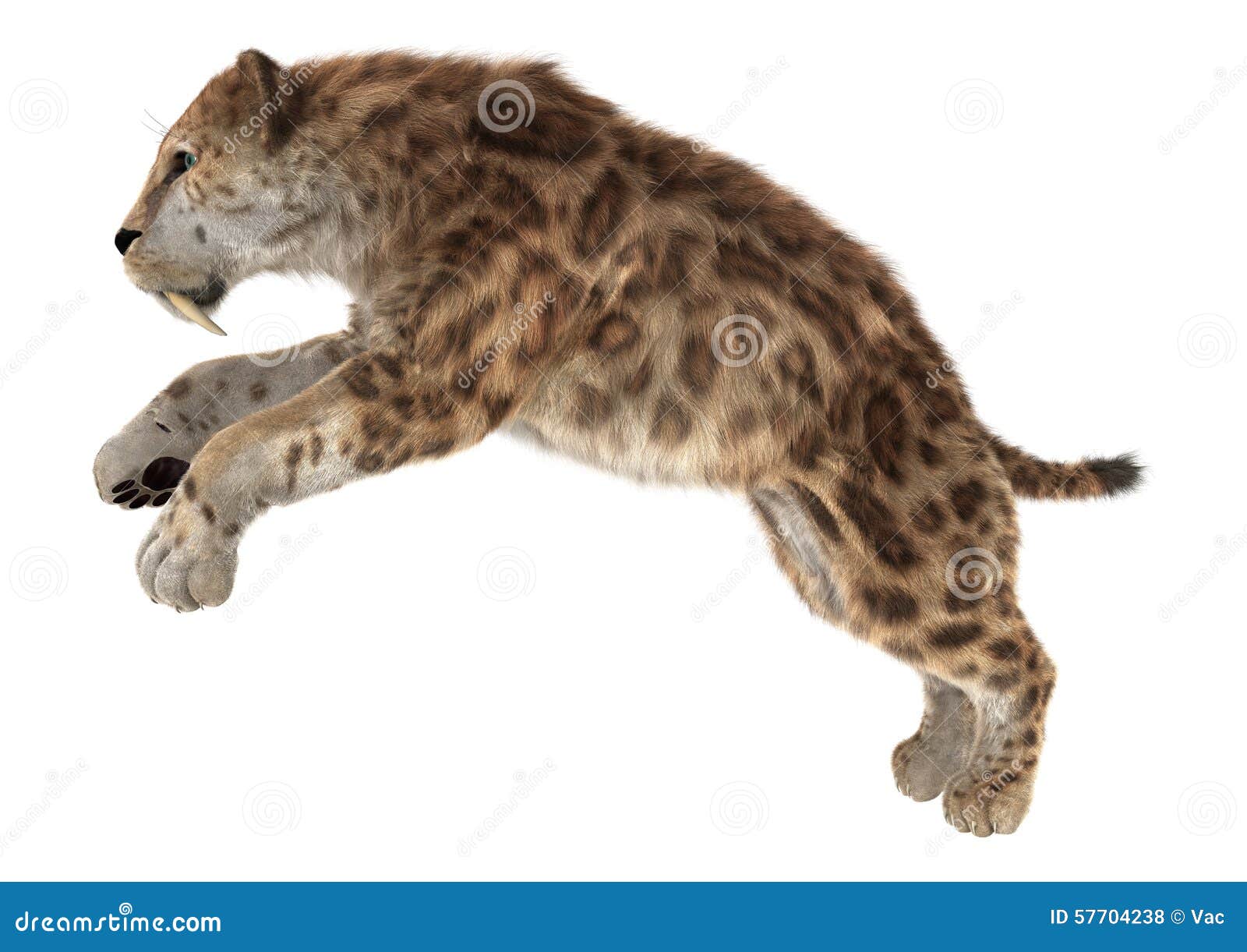 Big Cat Smilodon stock photo. Image of mammal, creature - 57704238
