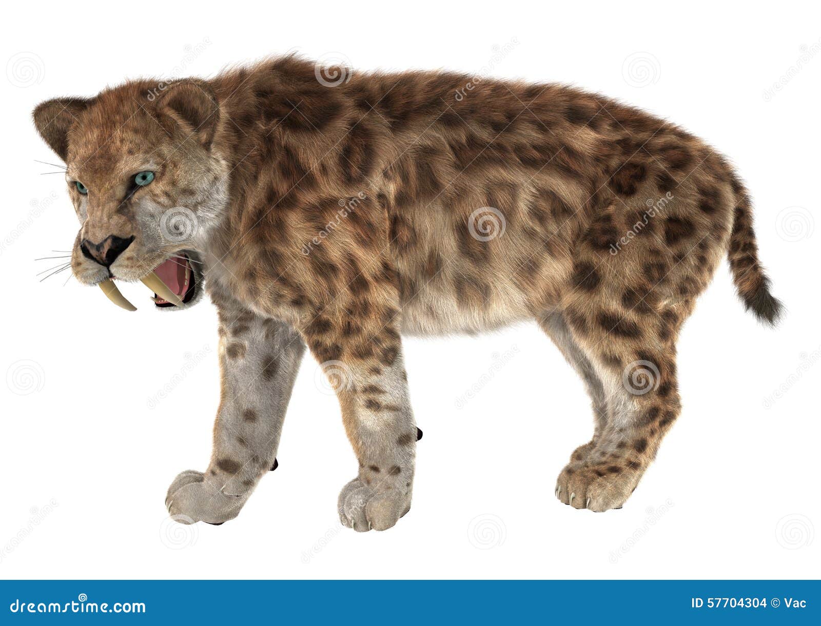 Smilodon Saber Tooth Extint Feline Royalty-Free Stock Photography ...