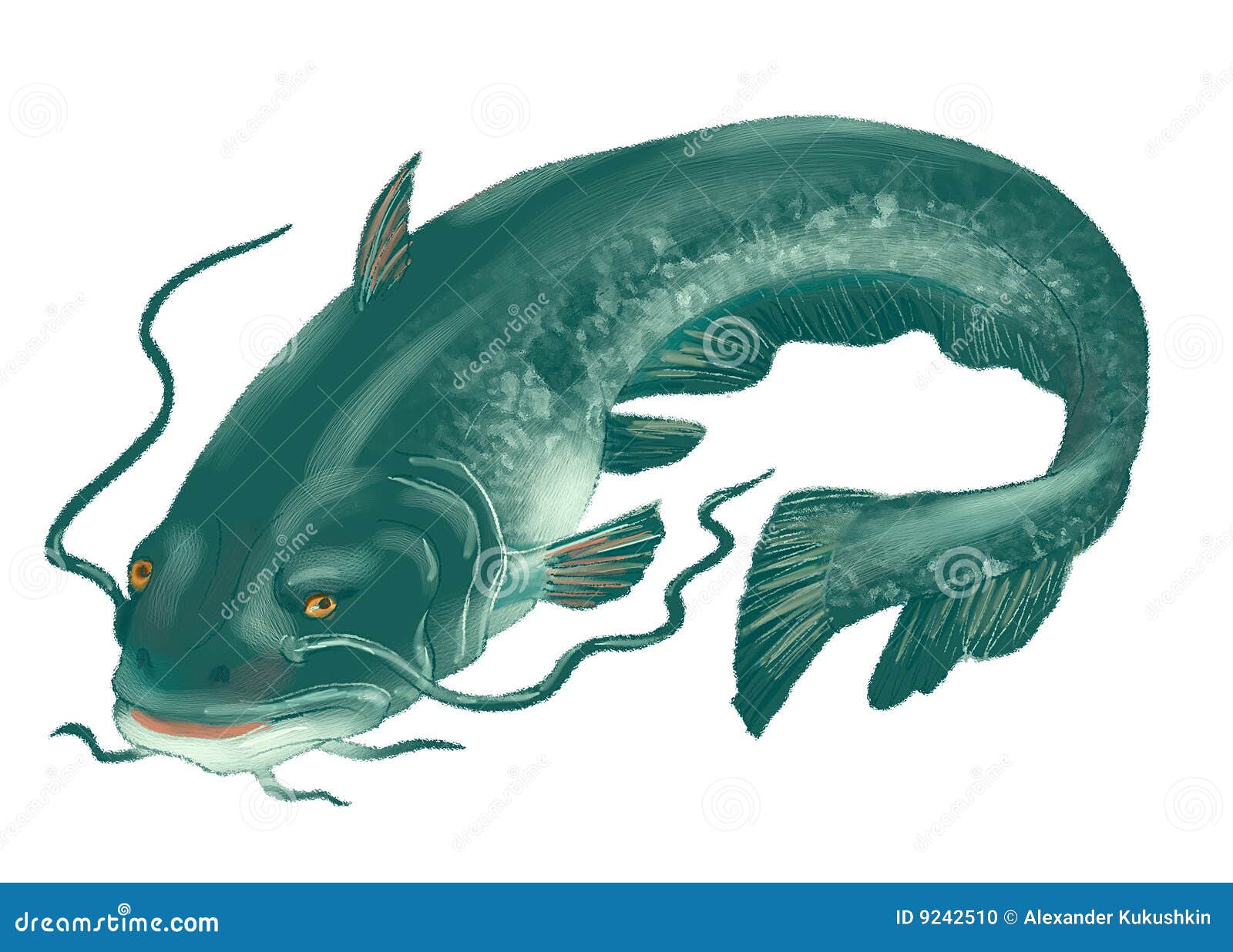 Angry Catfish Diving Down Cartoon Vector Illustration | CartoonDealer ...