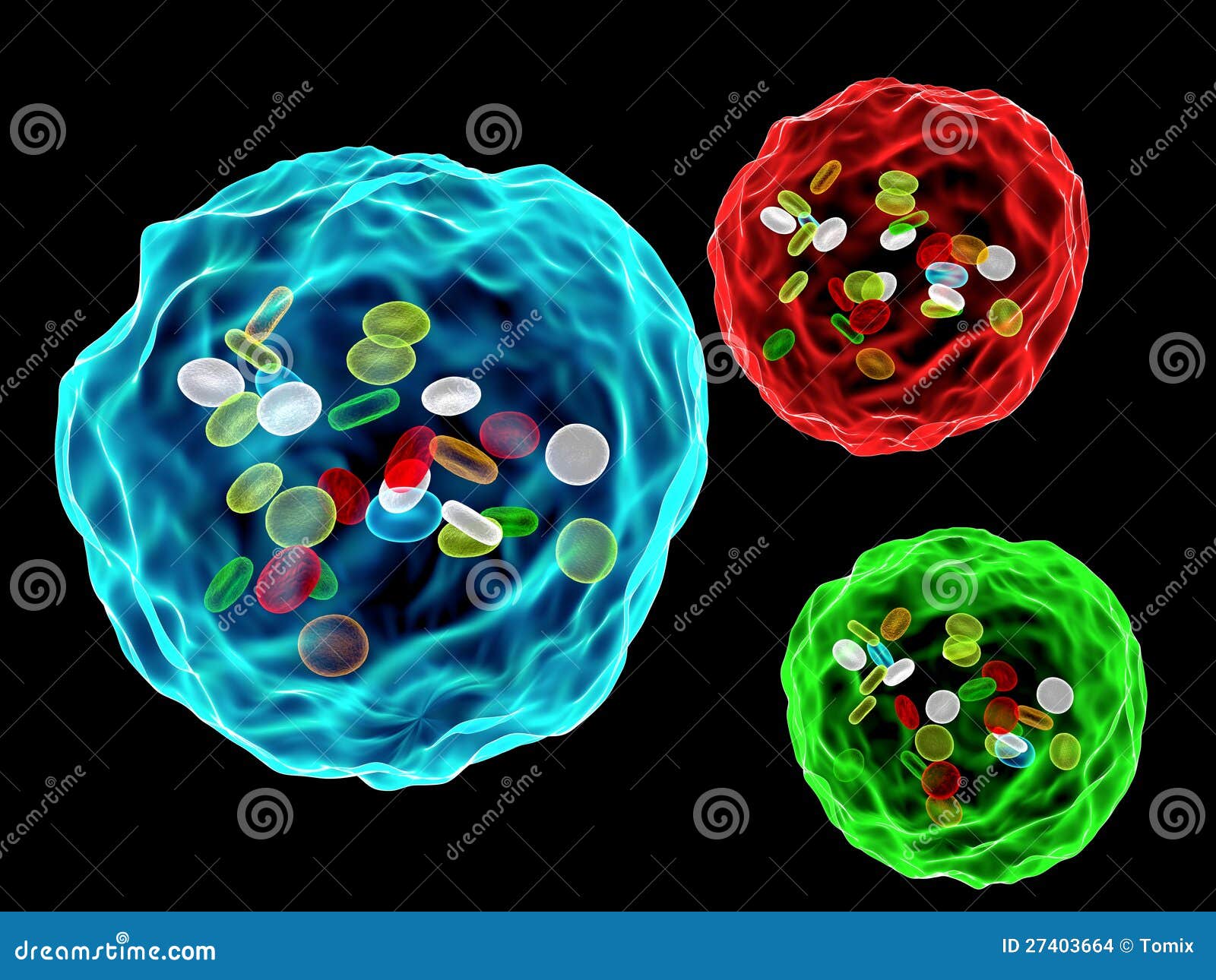 Big cells stock illustration. Illustration of human, orange - 27403664