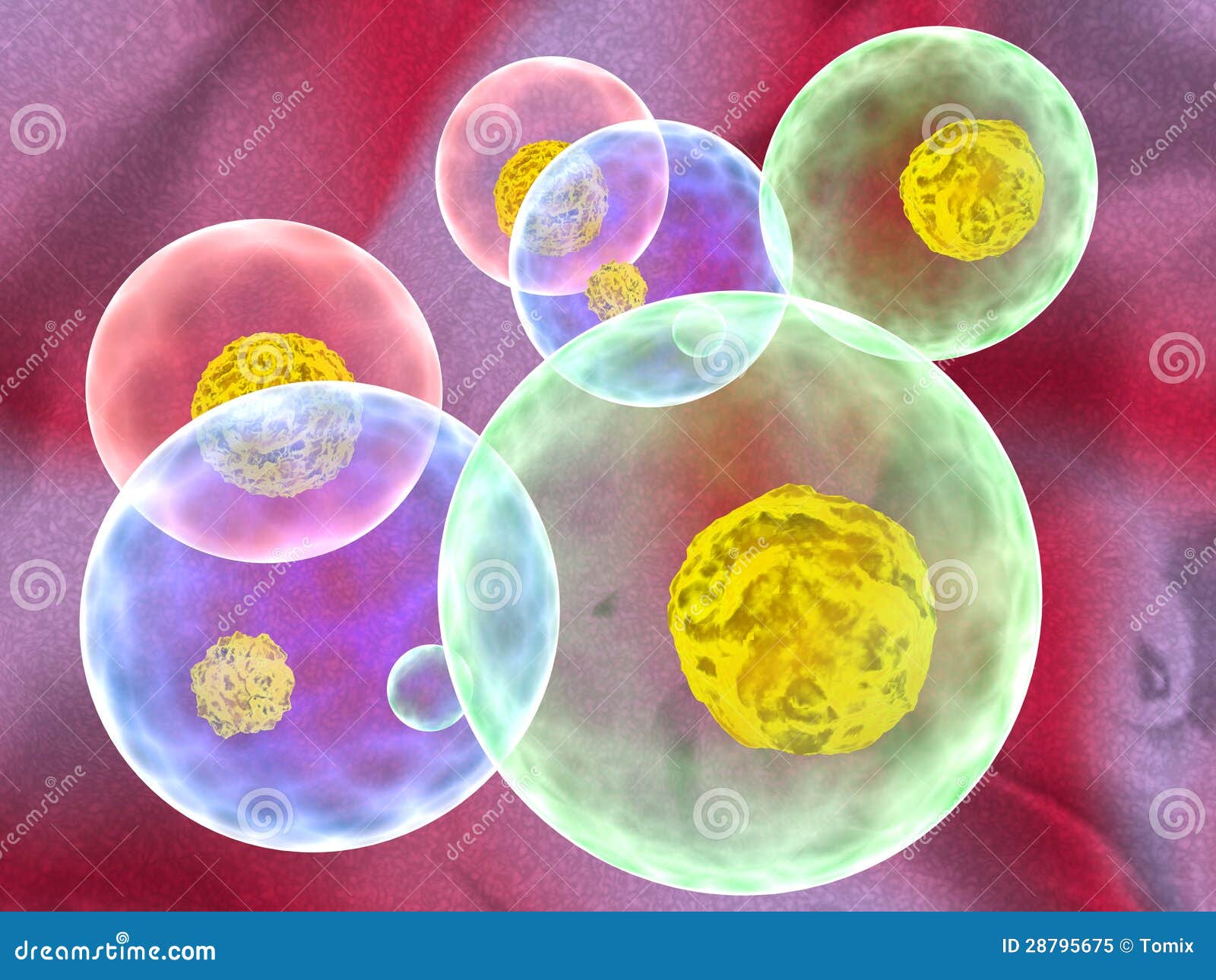 Big cells stock illustration. Illustration of medicine - 28795675
