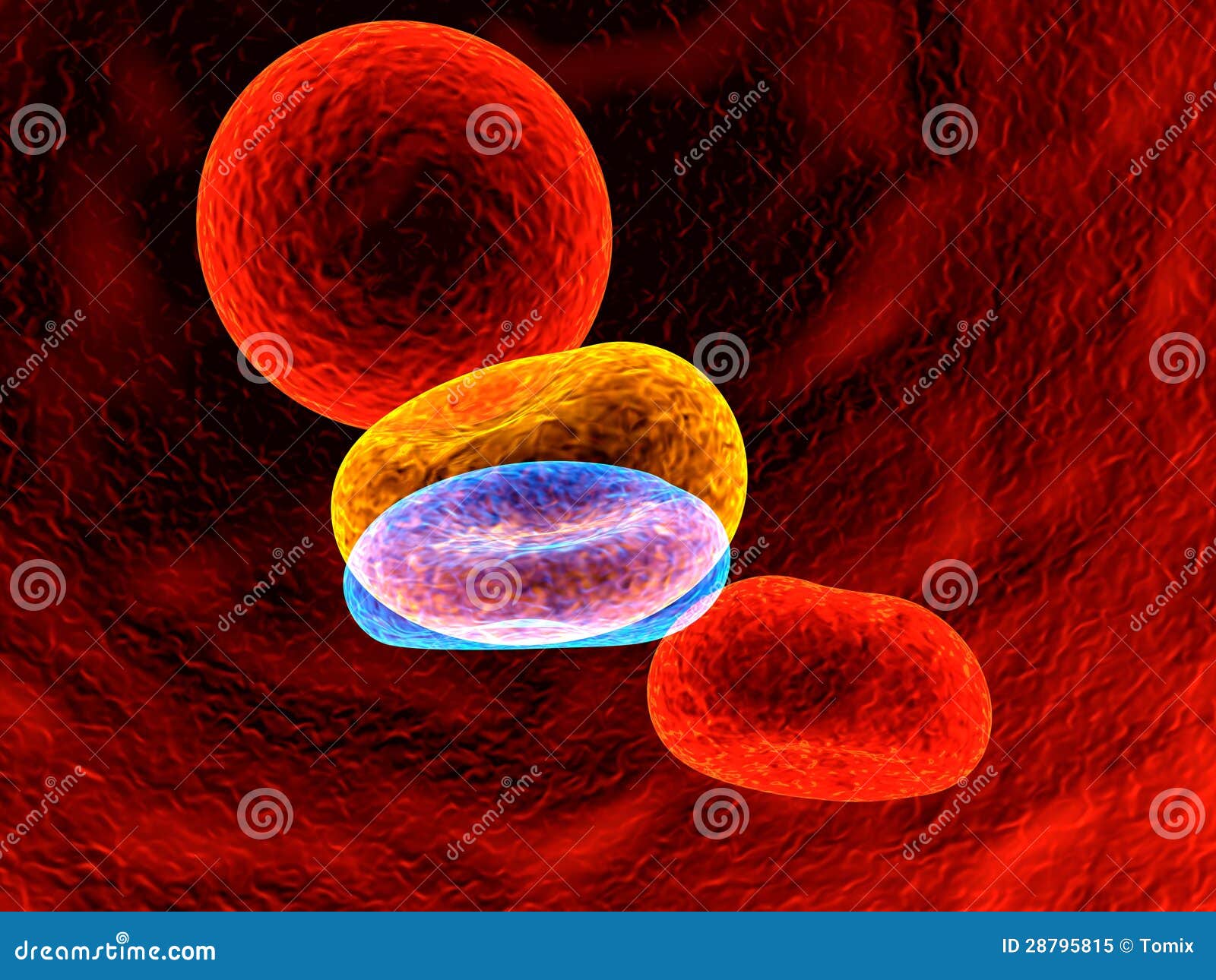 Big cells stock illustration. Illustration of medical - 28795815