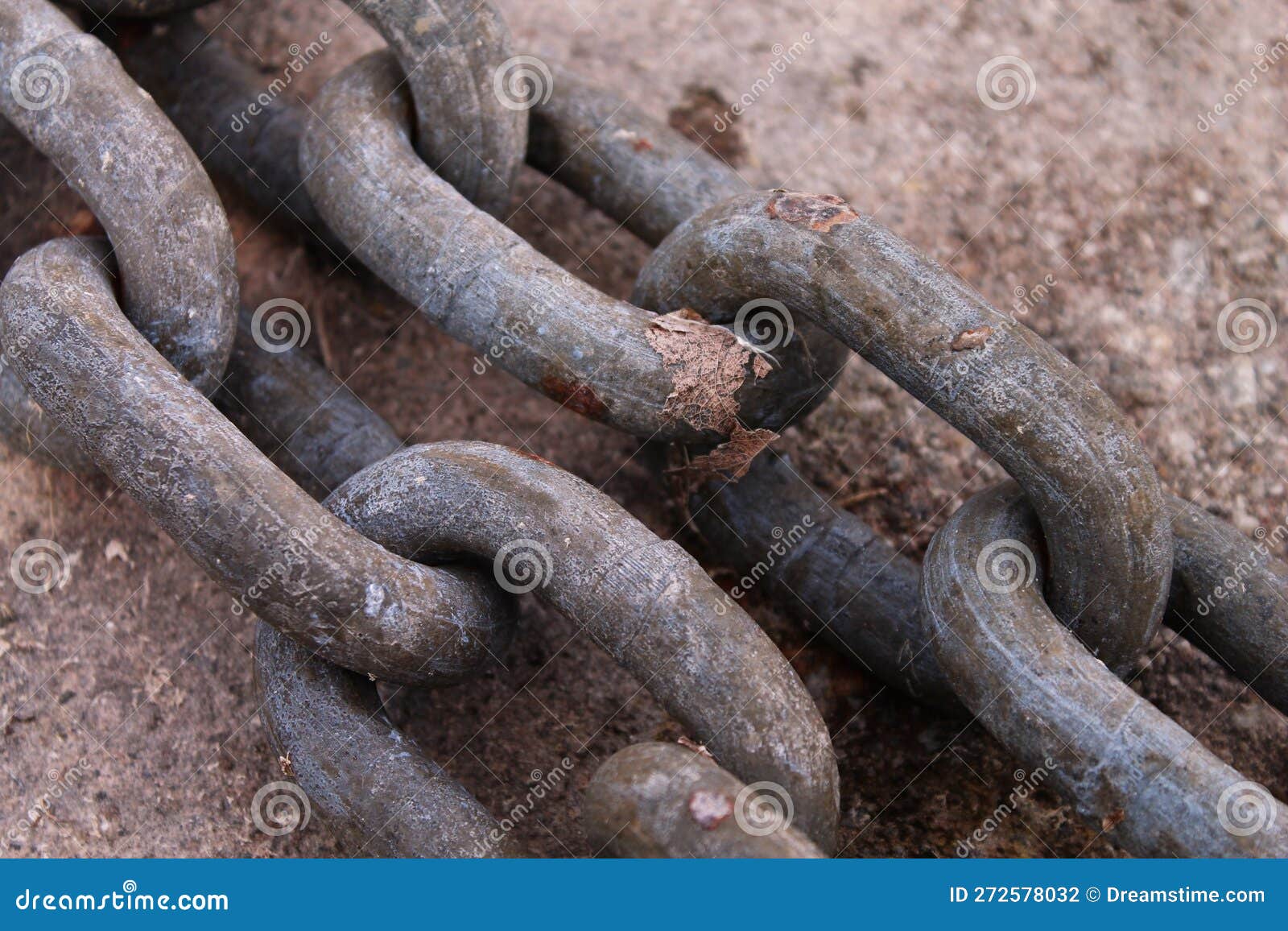 Big chains stock photo. Image of plant, rock, vegetable - 272578032