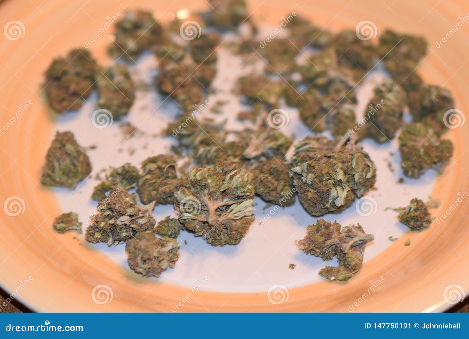Big Chem Marijuana Strain stock image. Image of dressing - 147750191 Big Chem Marijuana Strain stock image. Image of dressing - 147750191