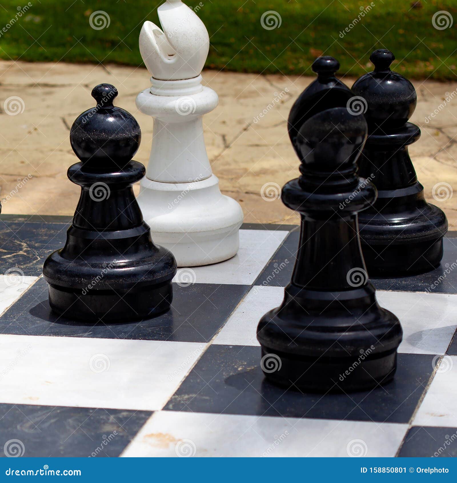Big Chess on the Board Located on the Ground Stock Image - Image of ...