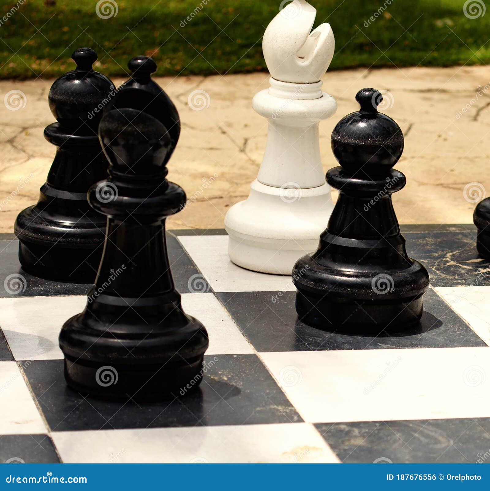 Big Chess on the Board Located on the Ground Stock Photo - Image of ...