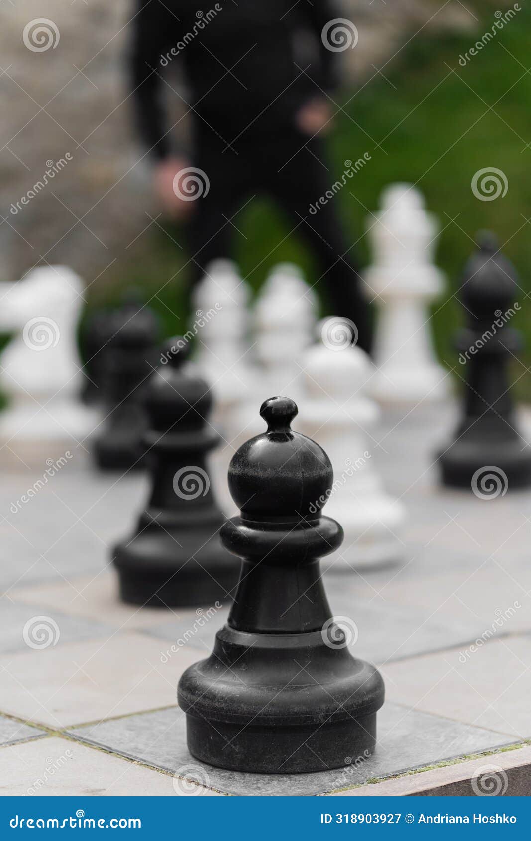 Big Chess Pieces Pawn on the Board. Green Background Behind. Stock ...