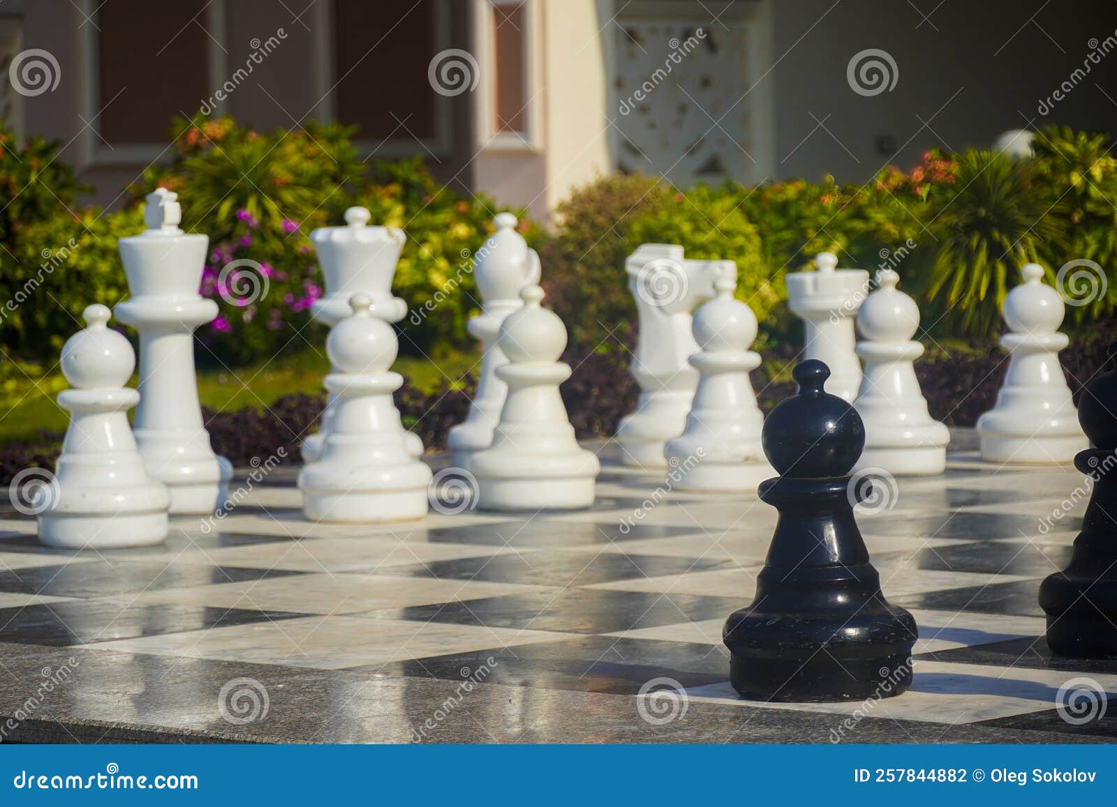 Big Chess on the Street in the Park Stock Photo - Image of competition ...