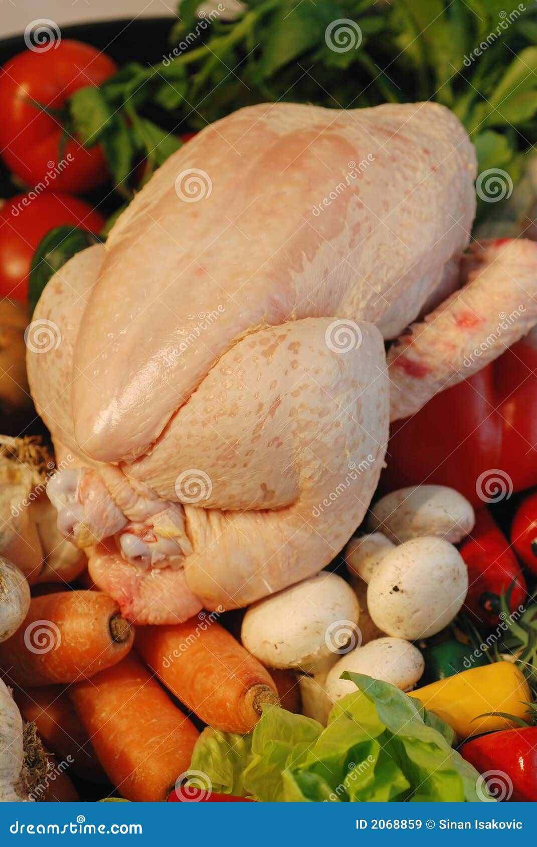 Big chicken stock image. Image of cook, focused, delicious - 2068859