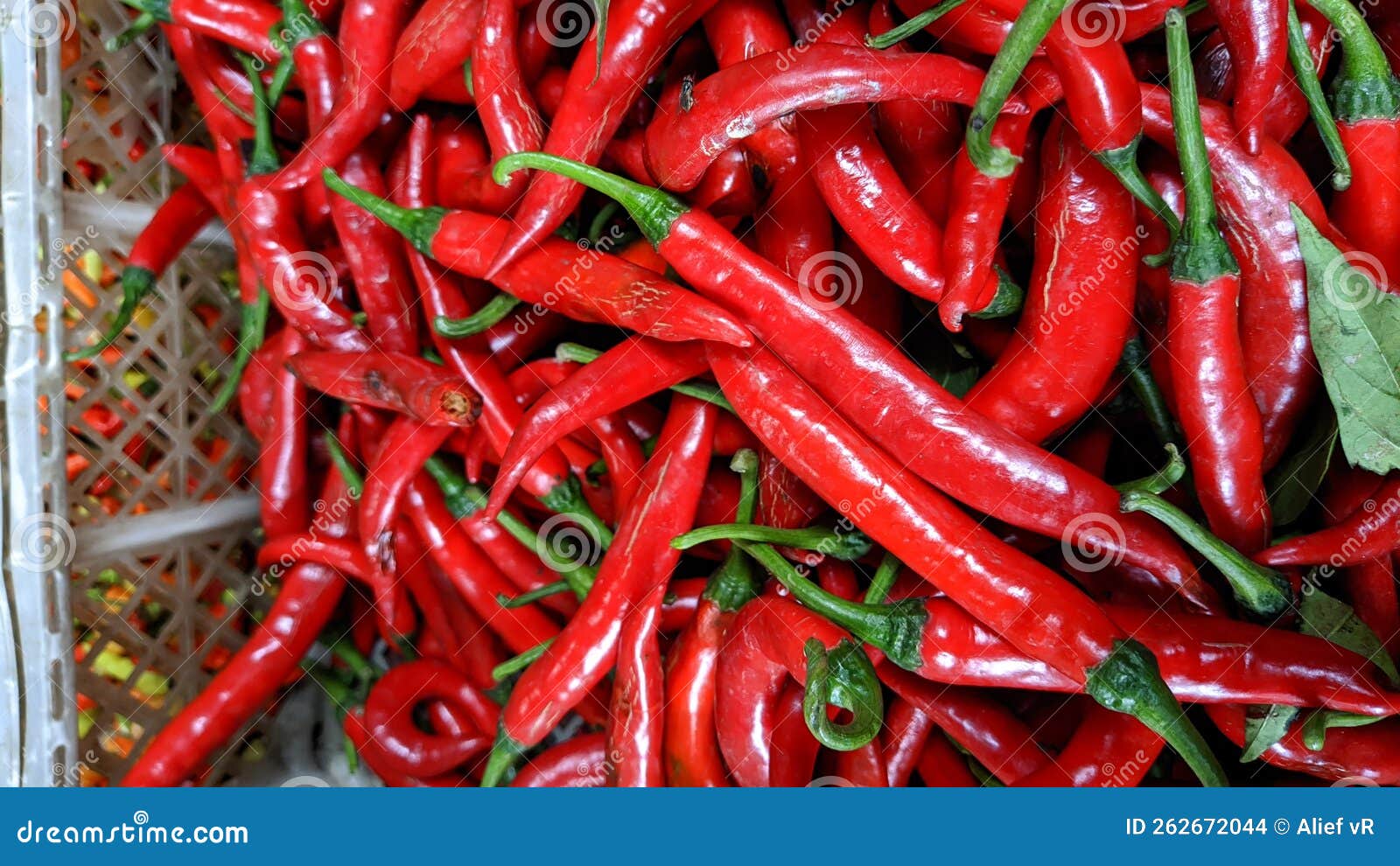 Big chili in the market stock photo. Image of chili - 262672044