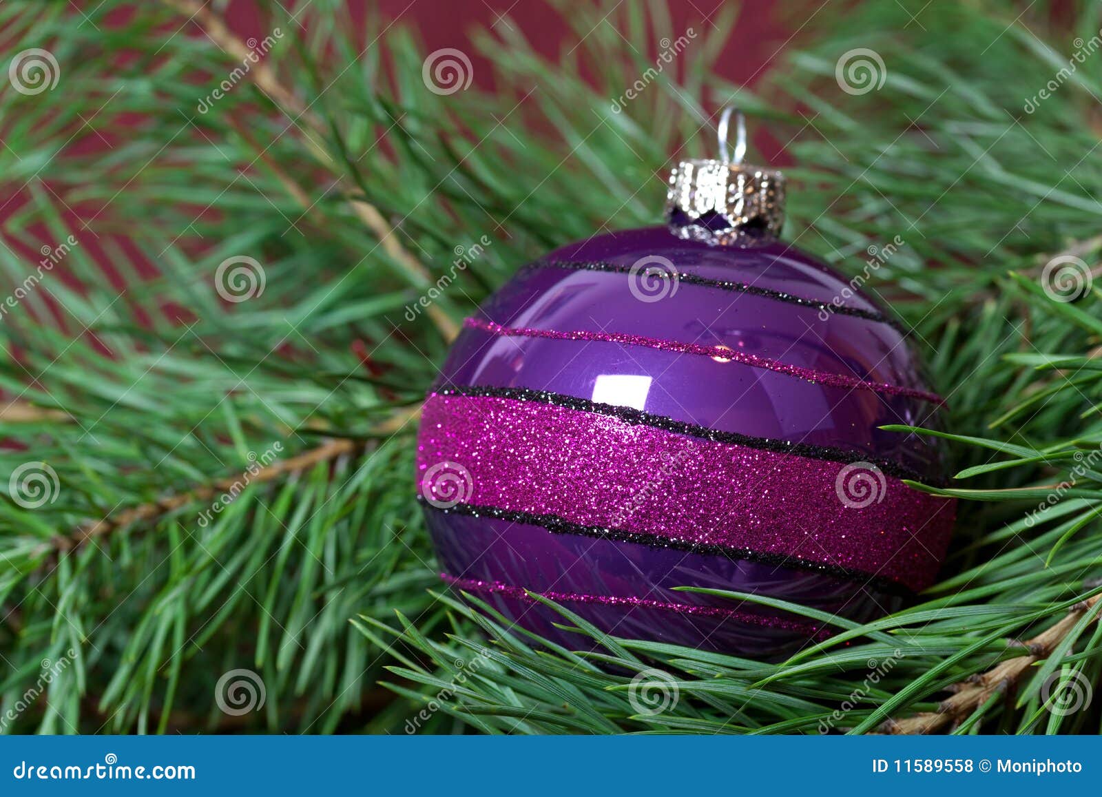 Big Christmas Purple Bauble and Fir Branches Stock Photo - Image of ...