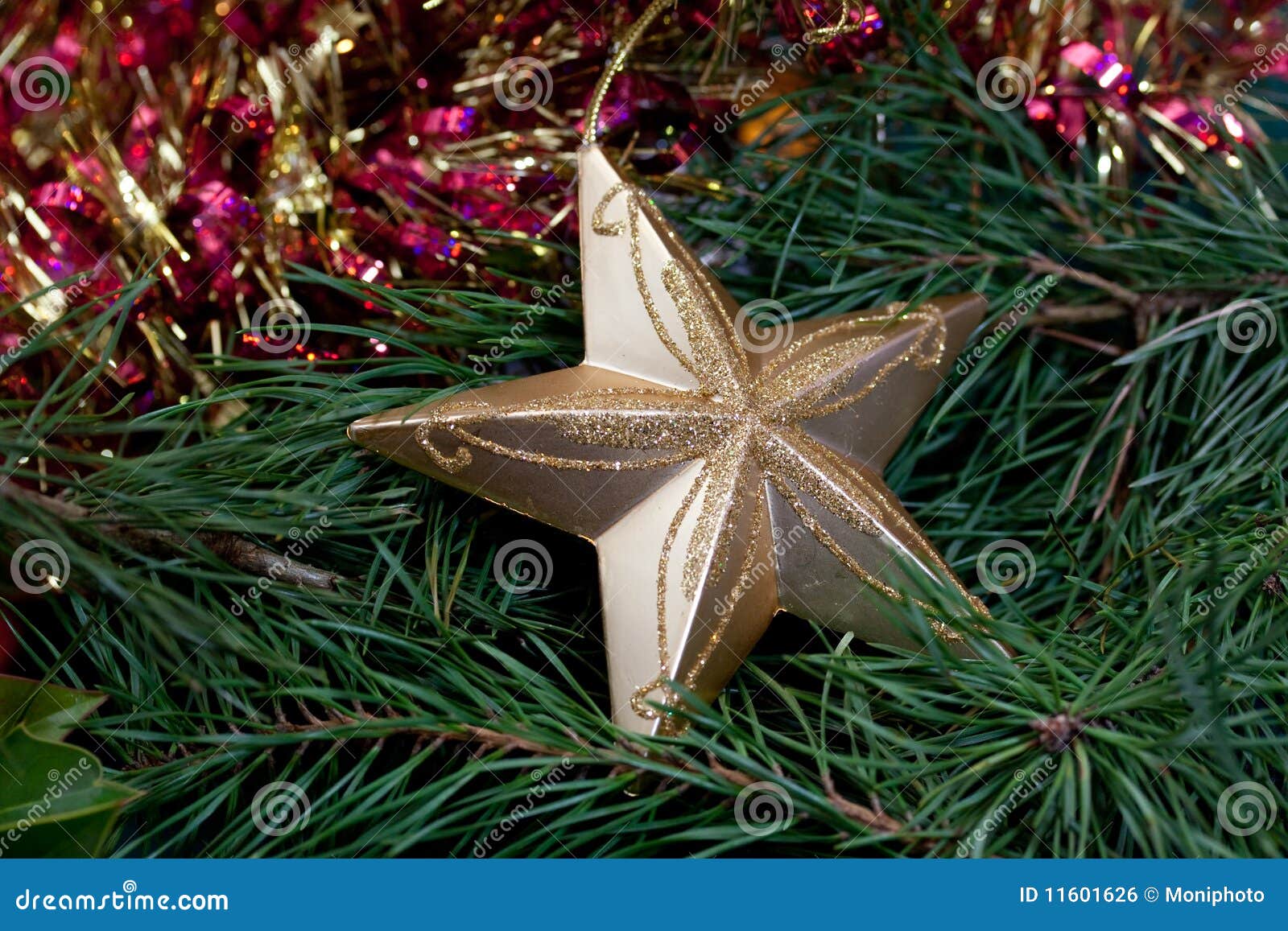 Big Christmas Star and Fir Branches Stock Photo - Image of reflect ...
