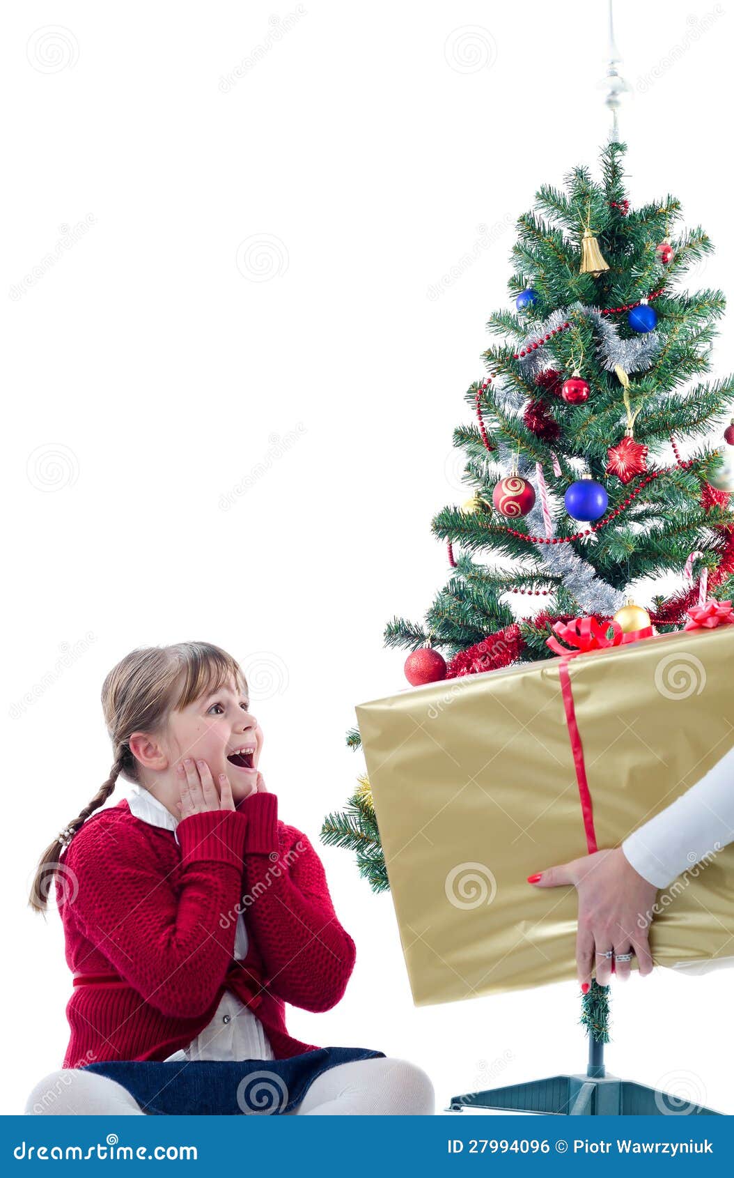 Big Christmas surprise stock photo. Image of happy, present - 27994096