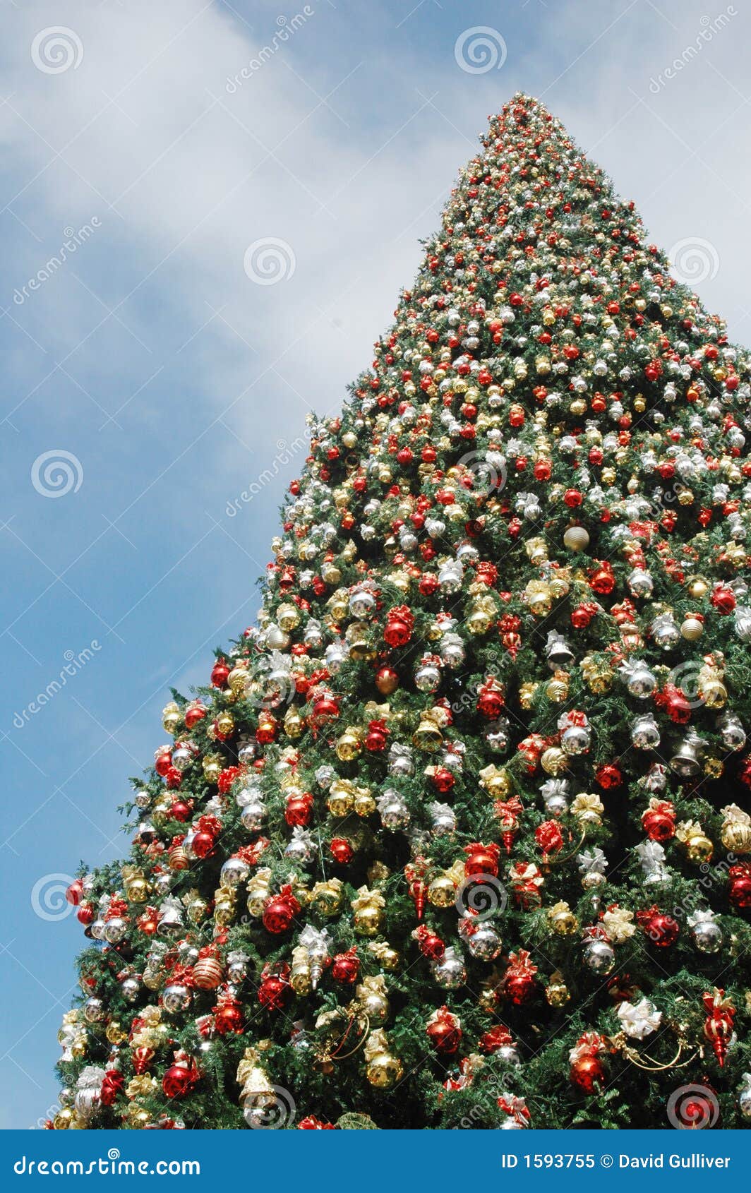 Big Christmas Tree stock image. Image of holiday, redecorating - 1593755