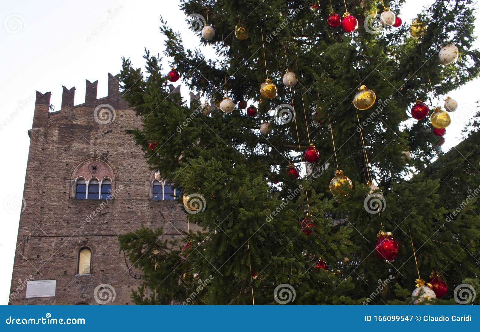 The Big Christmas Tree in the Main Square of Bologna, Italy. Stock ...
