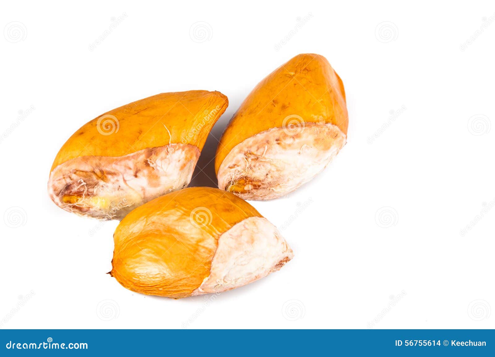 Big, Chunky, Round, and Hard Durian Fruit Seeds Isolated in White Stock ...