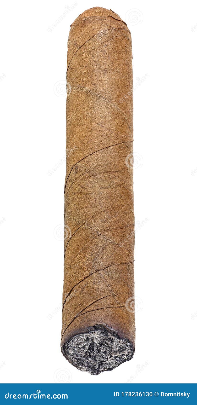 Big Cigar Isolated on White Background, Top View. Burned Cigar. Cigar ...
