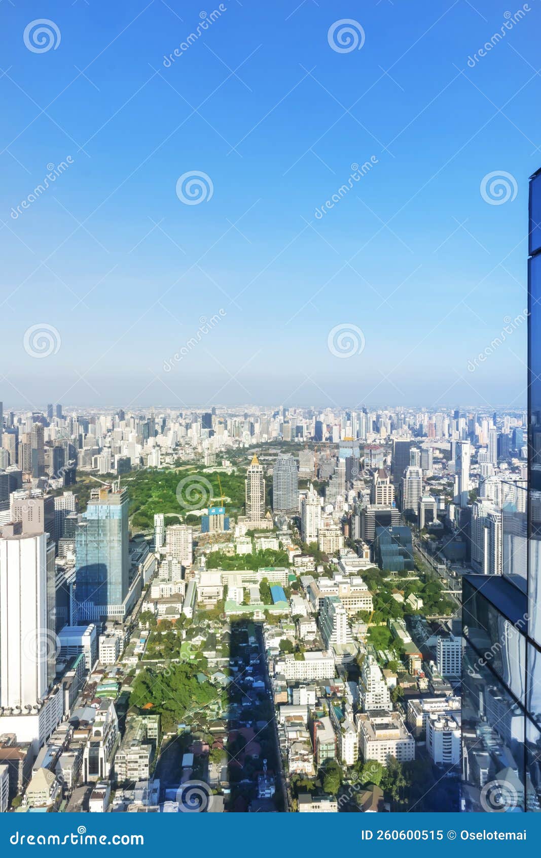 Big City during Daytime Panoramic View of the High-rise City Stock ...