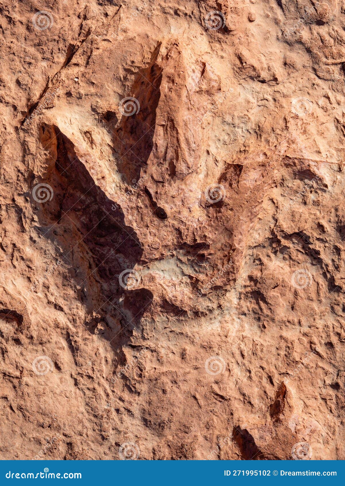 A Big Claw Imprint in a Rock Stock Photo - Image of jagged, surface ...