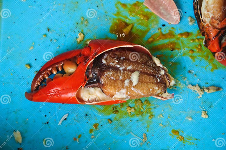 Big claws of a crab stock image. Image of recipe, pincers - 33592069