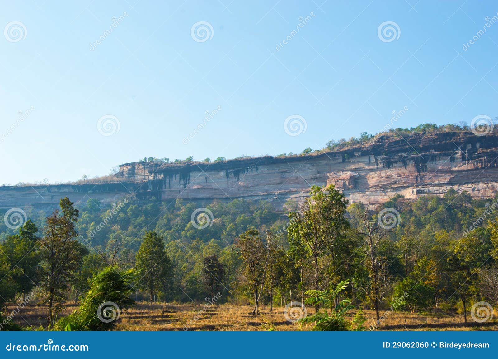 Big cliff stock photo. Image of flowers, mountain, fishing - 29062060