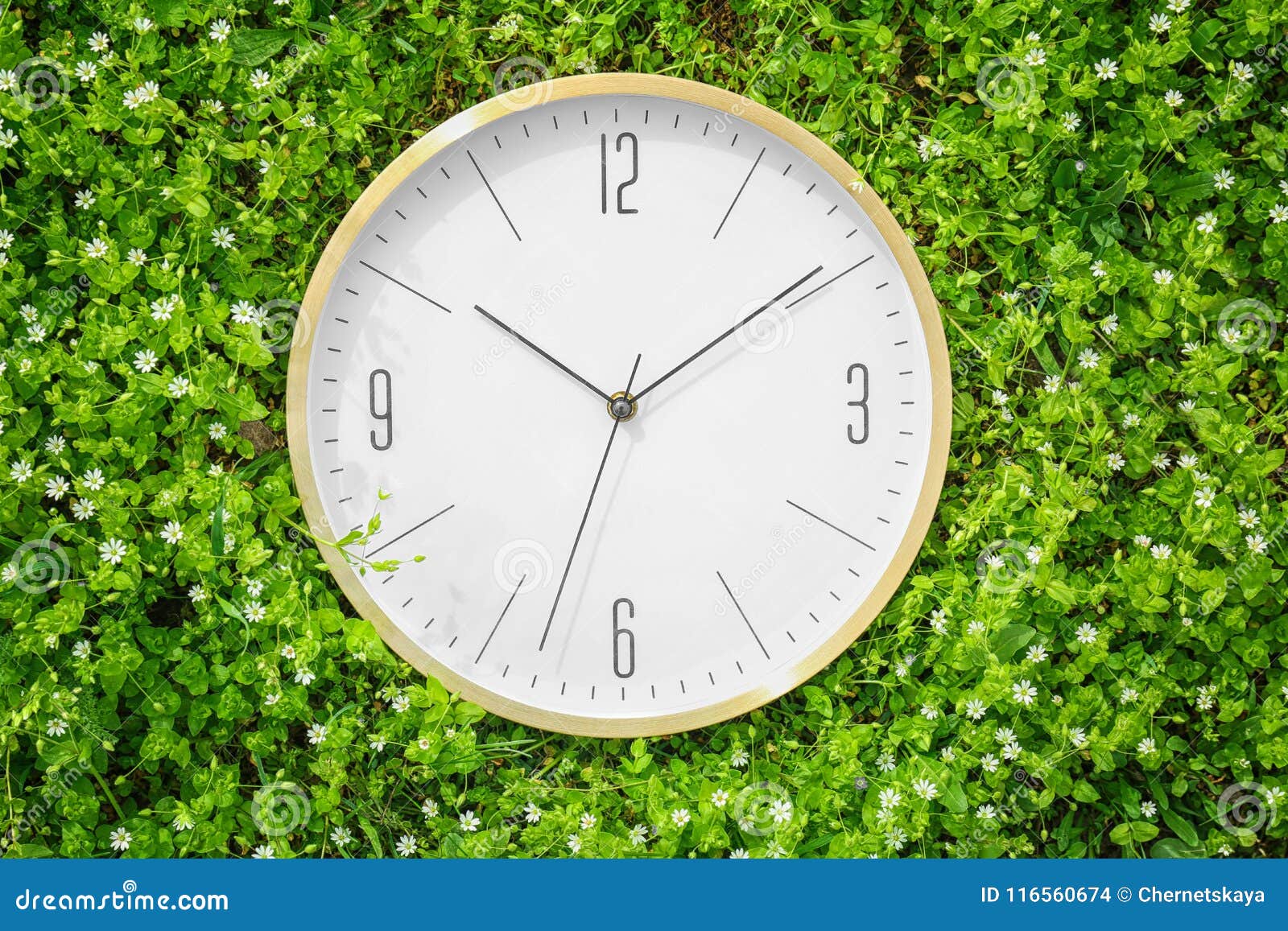 Big Clock among Flowers, Outdoors Stock Photo - Image of spring, flora ...