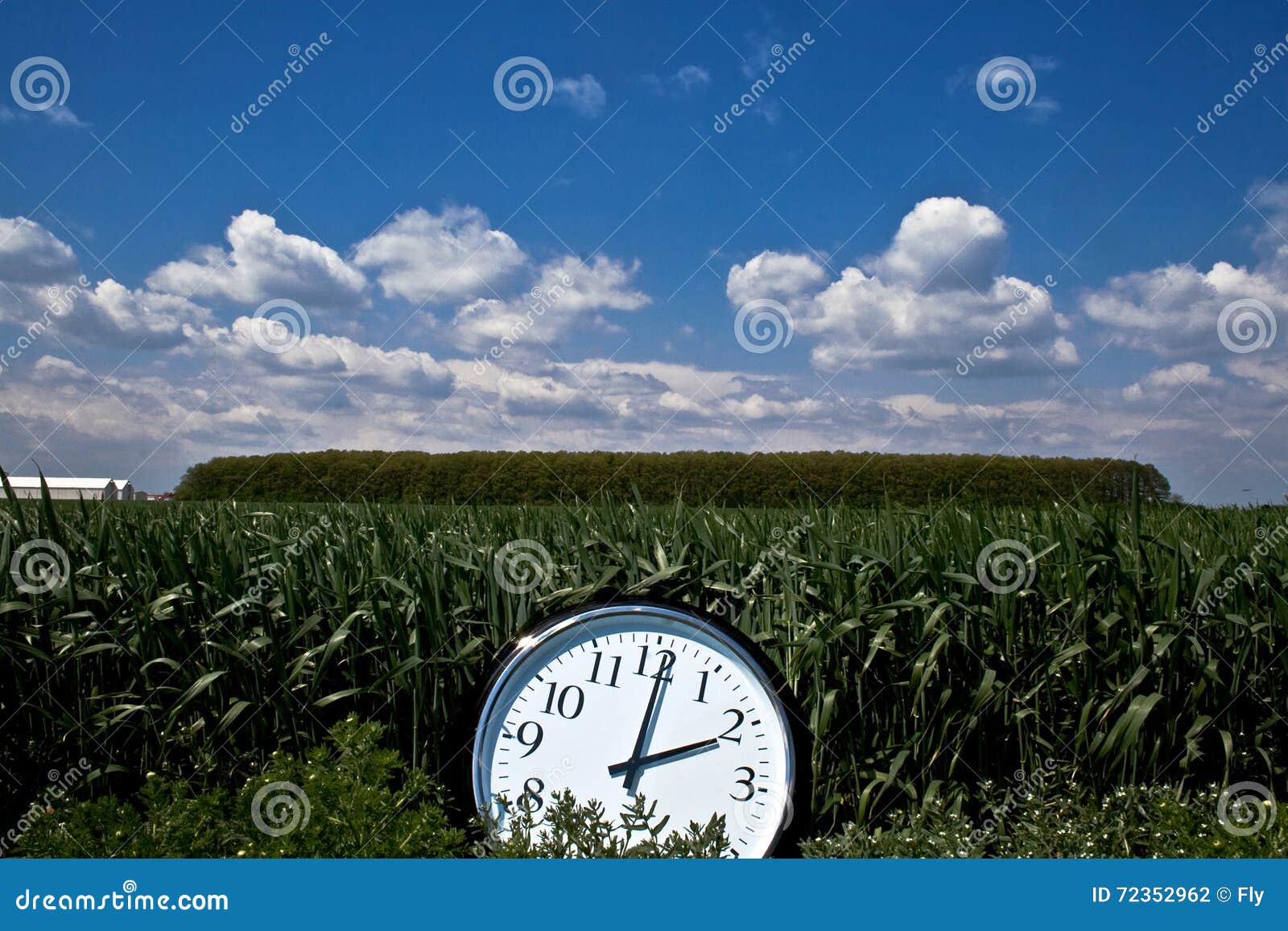 Big Clock at Noon in a Green Field Stock Photo - Image of process ...