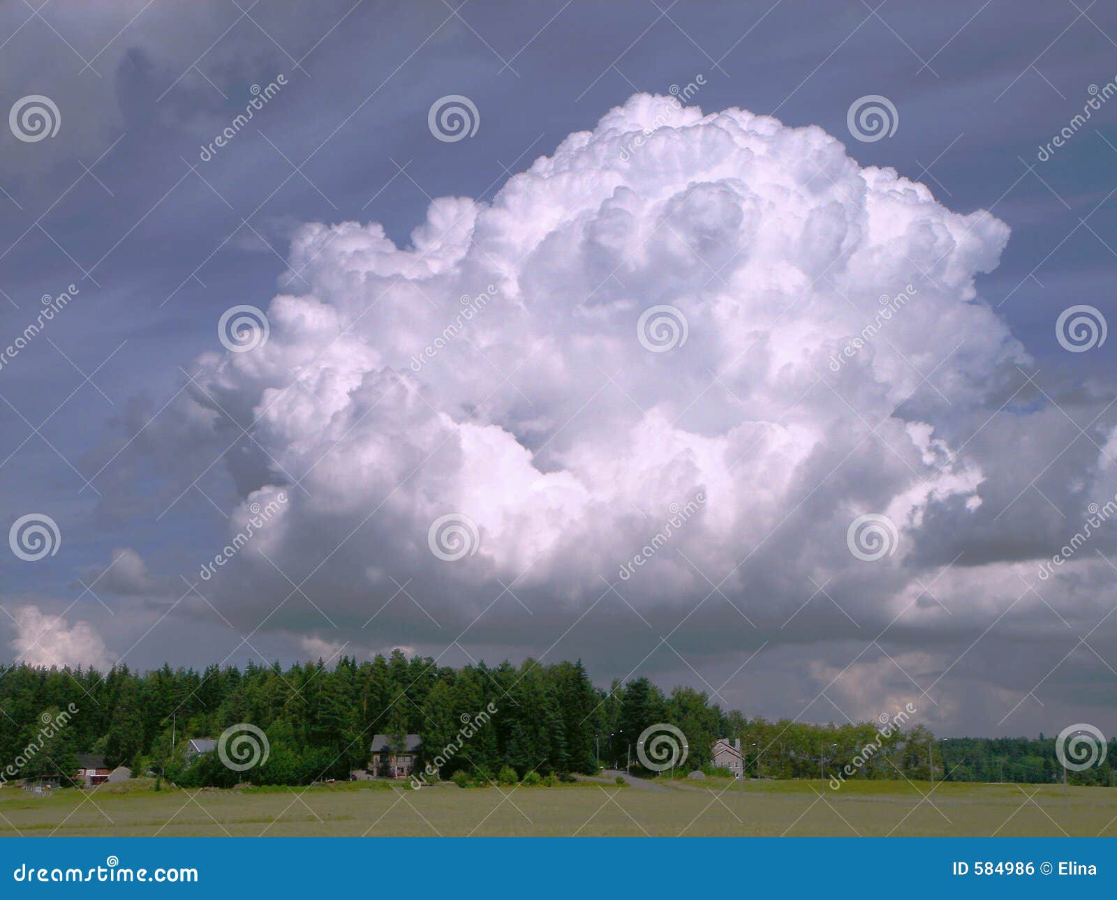 Big Cloud stock photo. Image of field, greens, easy, forest - 584986