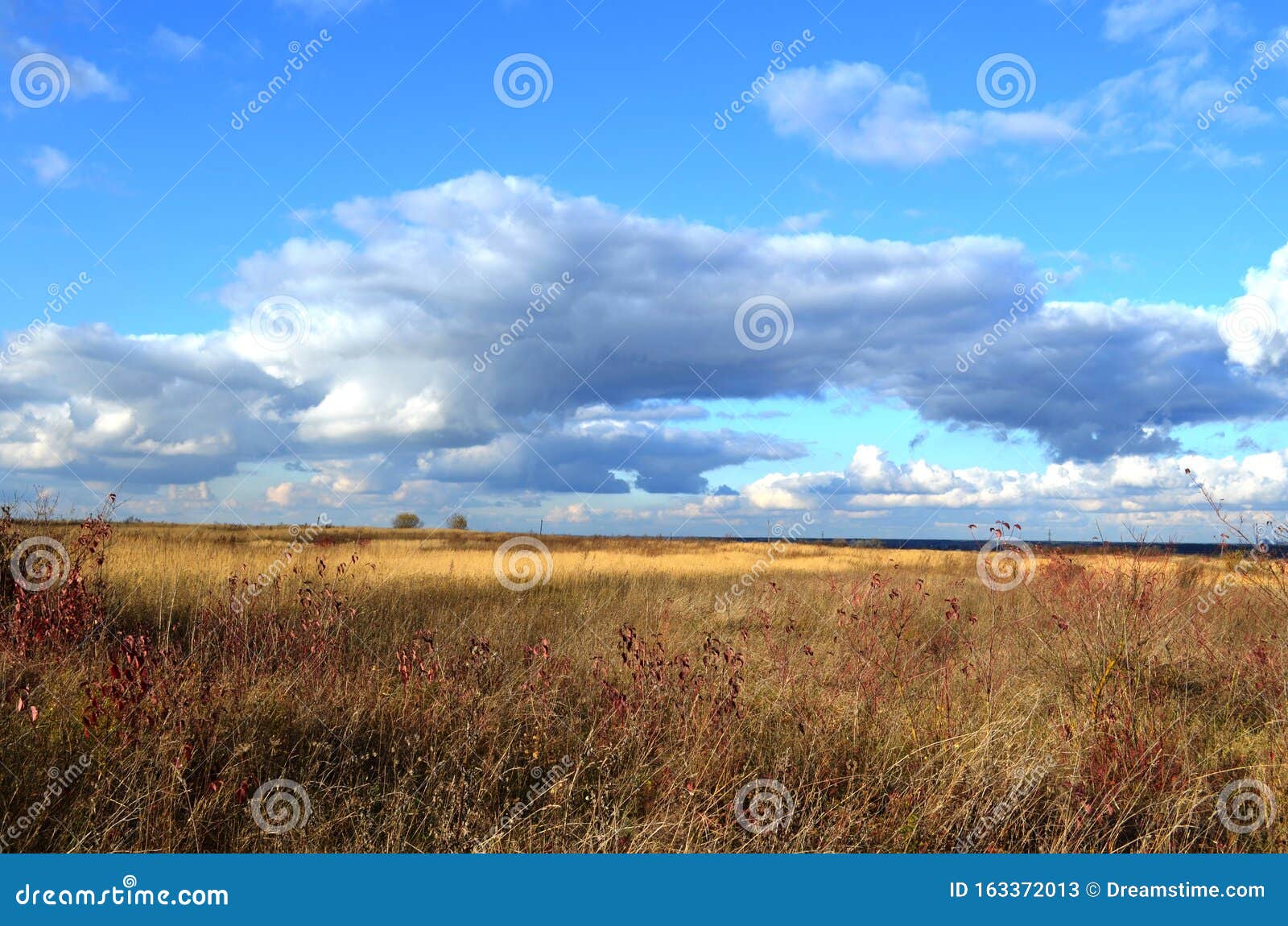 Big Clouds Over Autumn Field Stock Image - Image of blue, colors: 163372013
