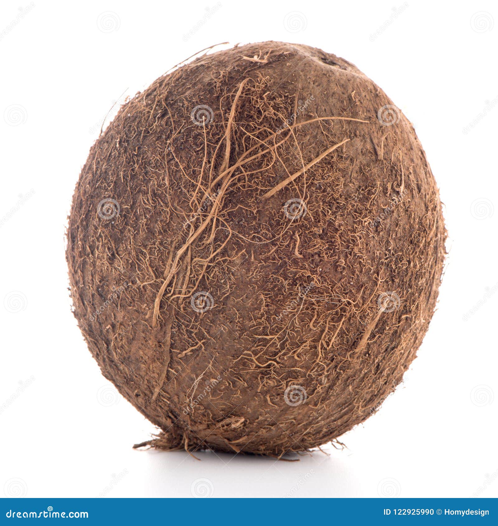 Big coconut stock photo. Image of healthy, object, vegetarian - 122925990