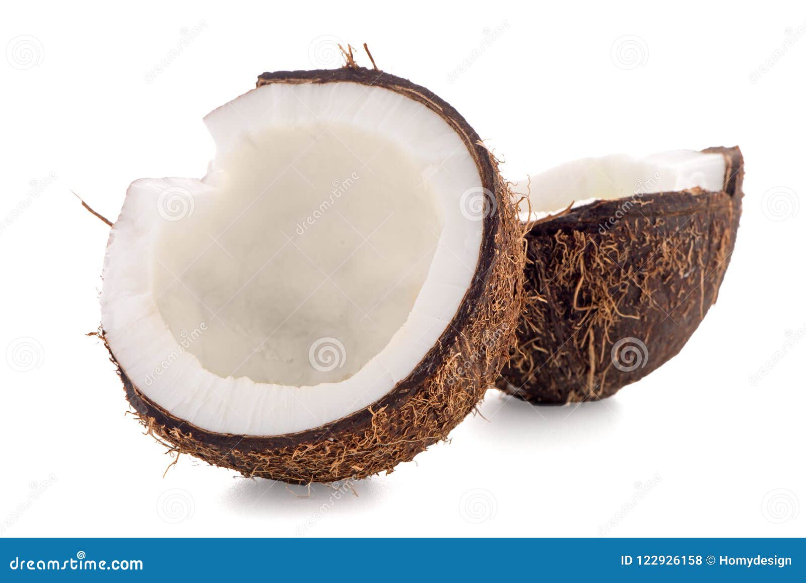 Big coconut stock photo. Image of palm, brown, circle - 122926158